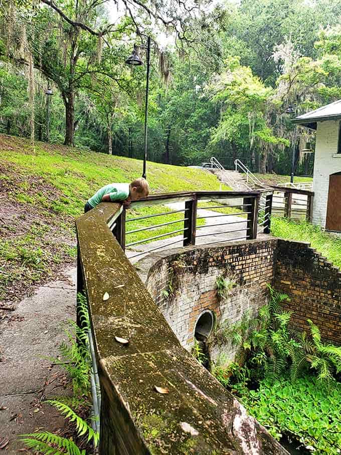 Curiosity knows no age – a young explorer discovers the fascinating intersection of nature and history at Boulware's brick-lined basins.