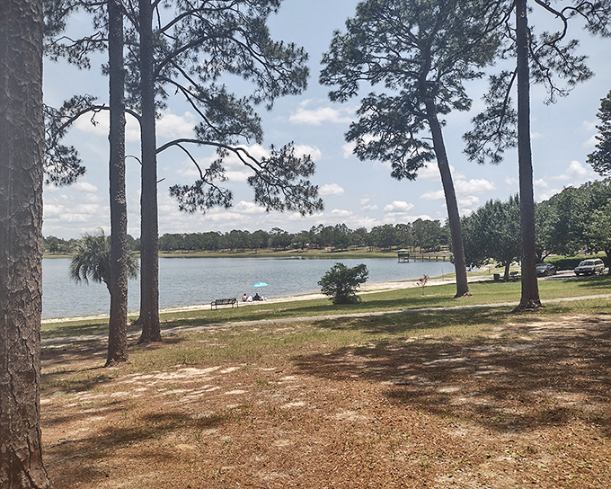 Chipley Park's historic fountain stands as an elegant centerpiece, where water has been performing the same graceful ballet for generations of appreciative onlookers.