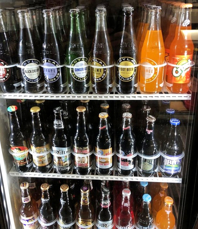 The vintage cooler houses a rainbow of craft sodas, each bottle promising the perfect companion to your sausage dog adventure.