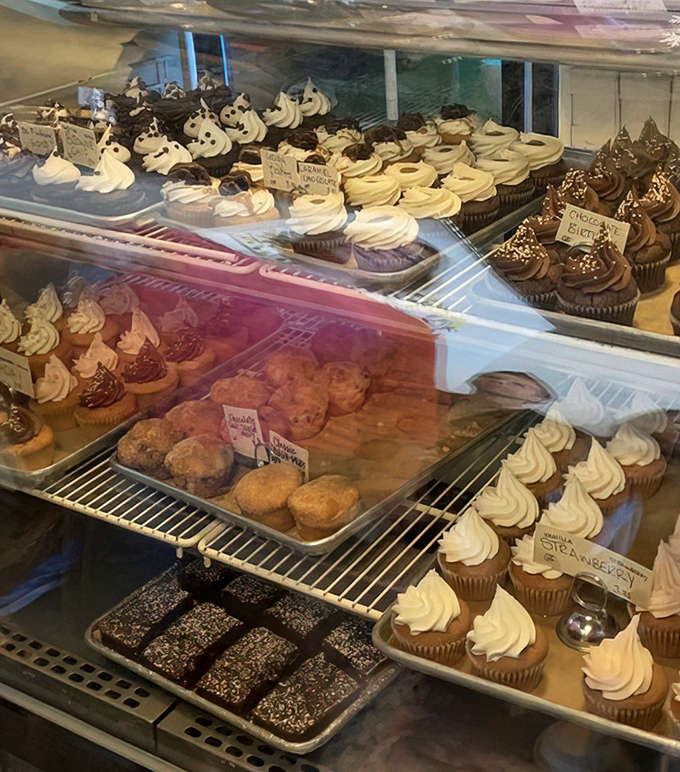 Cupcakes lined up like sweet soldiers, their frosting swirled with the precision of artists who know their way around a piping bag.