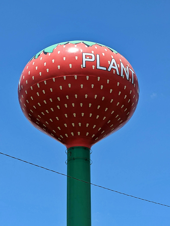 Every white "seed" on this massive berry is meticulously painted, proving that Plant City takes its fruity reputation very seriously indeed.