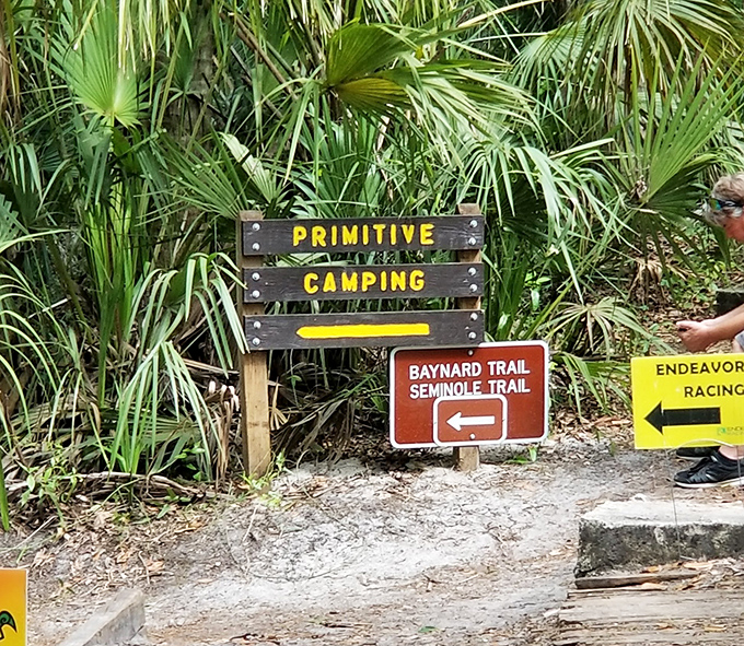 Trail markers point the way to adventure, though getting slightly lost might be the best part of the journey.
