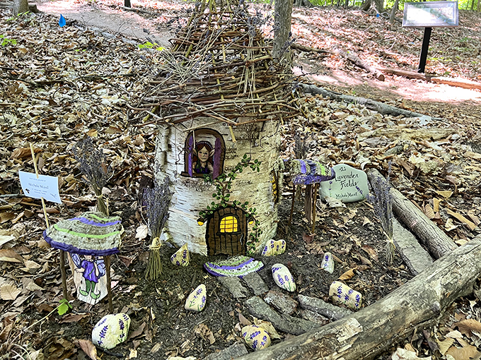A fairy dwelling emerges from a birch stump, complete with tiny windows and doors that make you question if you've shrunk.