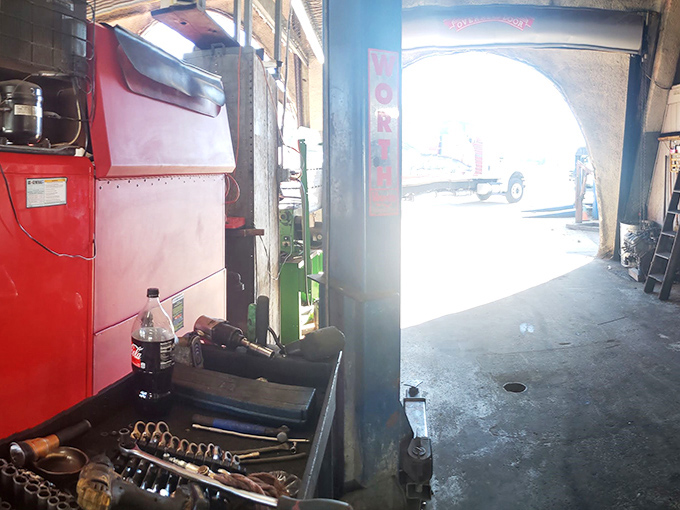 Every tool has its place in this well-organized garage, proving that even dinosaurs can appreciate good workflow management.