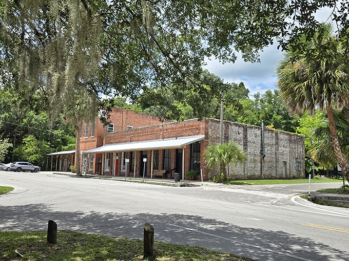 Micanopy's historic buildings wear their age with dignity, their brick facades telling stories of commerce from another era.