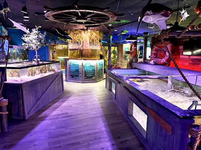 Wooden walkways guide visitors through an underwater world where every tank offers a new chapter in the ocean's endless story.
