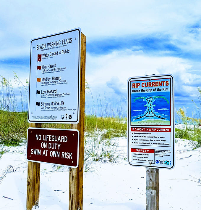 Beach safety 101: Even paradise comes with instructions. Remember, those flags aren't just colorful decorations!