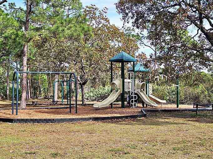 Even playground equipment looks magical when set against a backdrop of towering pines – childhood adventures waiting to happen in every direction.