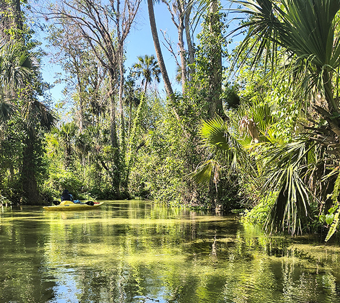 The emerald corridor &ndash; where sunlight filters through the canopy, turning ordinary water into a gemstone-colored passage.