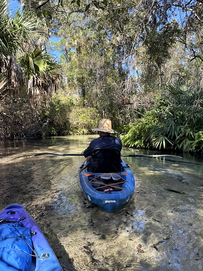 Paddling through liquid crystal while surrounded by primeval forest &ndash; Netflix can't compete with this show.