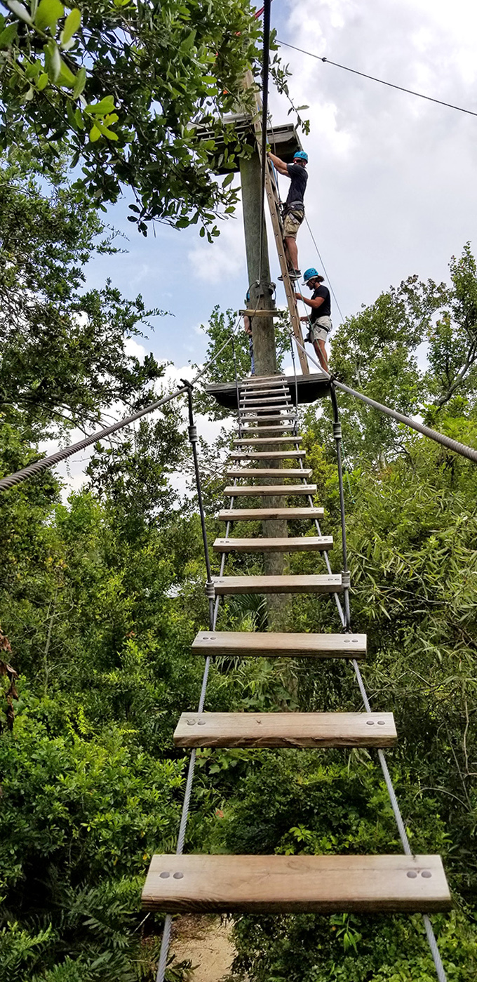 The stairway to adventure stretches skyward, beckoning brave souls to ascend into a world of leafy challenges and aerial thrills.