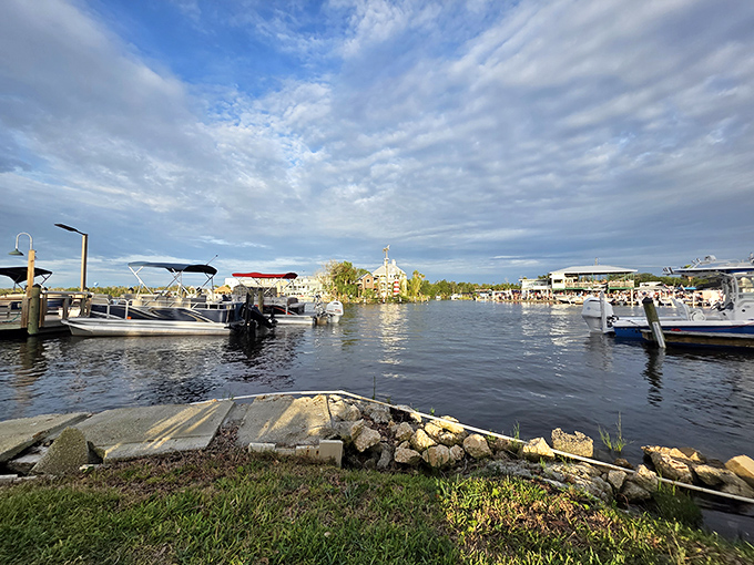 The marina offers perfect views of Monkey Island, where the residents never worry about boat payments or rising gas prices.