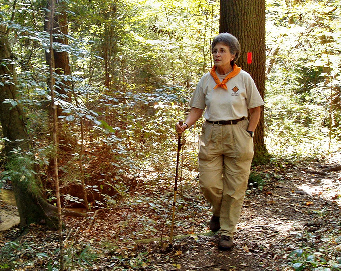Beyond the road lies a network of trails waiting to be explored, where the canopy experience continues for those willing to leave their vehicles behind.