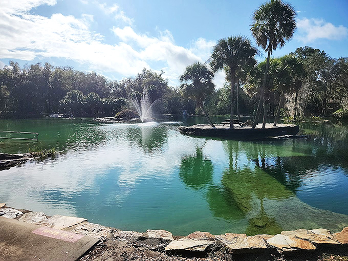 Outdoor Spring Pond with Fountain: Beyond the cavern, a sun-drenched pool offers a gentler aquatic experience with equally spectacular clarity.