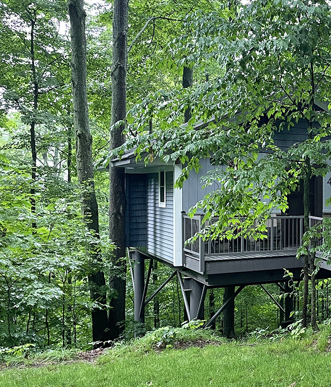 This treehouse emerges from the forest like a modern-day fairy tale, supported by sturdy beams that seem to defy gravity with architectural magic.