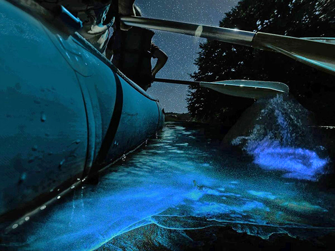 Close-up magic: each paddle dip creates a swirling galaxy of light, proof that wonder exists at arm's length.