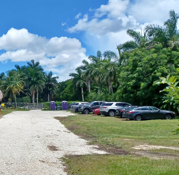 The unassuming parking area gives no hints about the paradise that awaits beyond. The best treasures are often found in unexpected places.