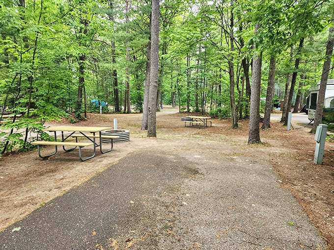 Petoskey State Park Nature's playground where campsites nestle among trees and beach days end with spectacular Lake Michigan sunsets.