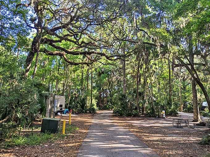 A shaded sanctuary for picnics and contemplation, where the only background music is birdsong and rustling palms.