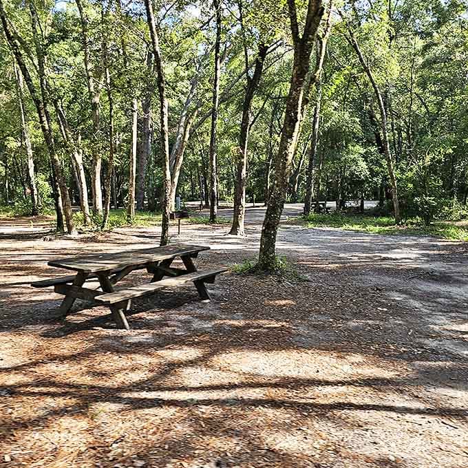 Nature's dining room comes complete with dappled shade and the gentle soundtrack of rustling leaves.