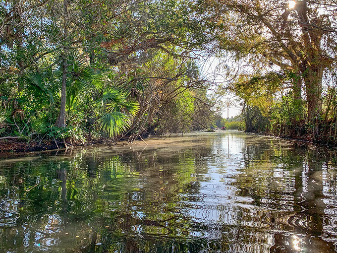 Glassy waters reflect the untamed beauty of old Florida, a liquid highway that's been connecting ecosystems for thousands of years.