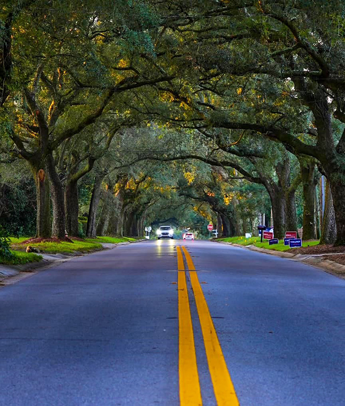 Mother Nature's architecture puts human designs to shame. These branches have been reaching toward each other for decades.