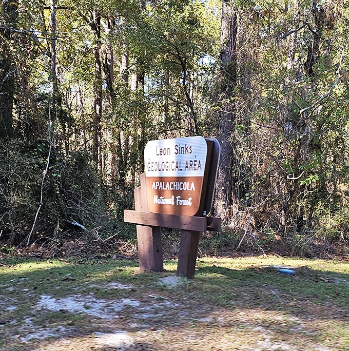 The Leon Sinks Geological Area sign stands as a humble introduction to one of Florida's most spectacular natural wonders hiding in plain sight.