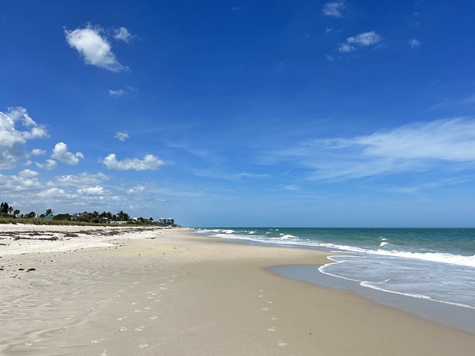 Untouched shoreline stretches invitingly at South Beach Park, where the Atlantic's gentle waves create a natural playground for beachgoers of all ages.