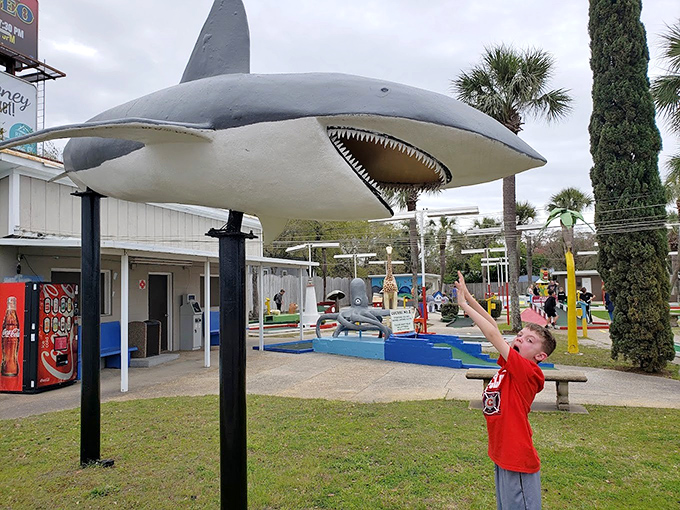 "I'm gonna need a bigger putter!" This suspended shark has photobombed family vacation albums since before selfies were invented.