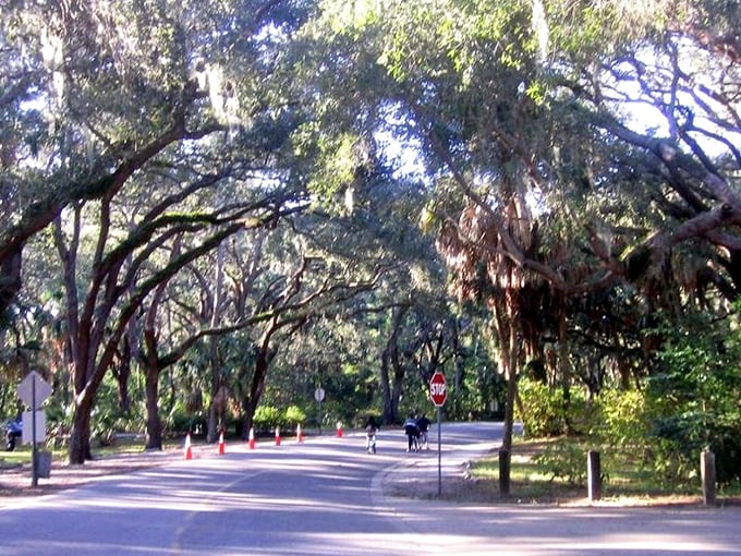 Sunshine State secret: this shaded sanctuary offers blessed relief from Florida's famous heat while delivering postcard-worthy views.