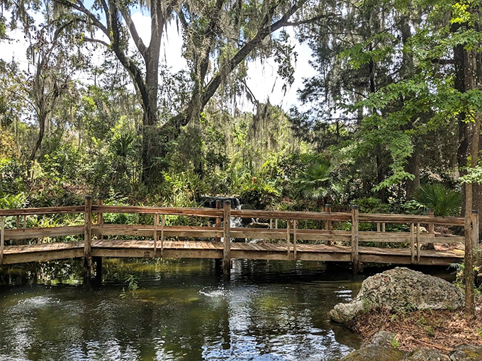 This rustic footbridge seems transported from a storybook, connecting visitors to both sides of this tropical wonderland.