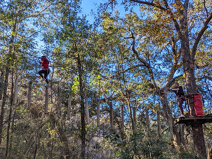 Adventurous souls fly through the forest canopy, proving that sometimes the best view of nature comes with an adrenaline rush.