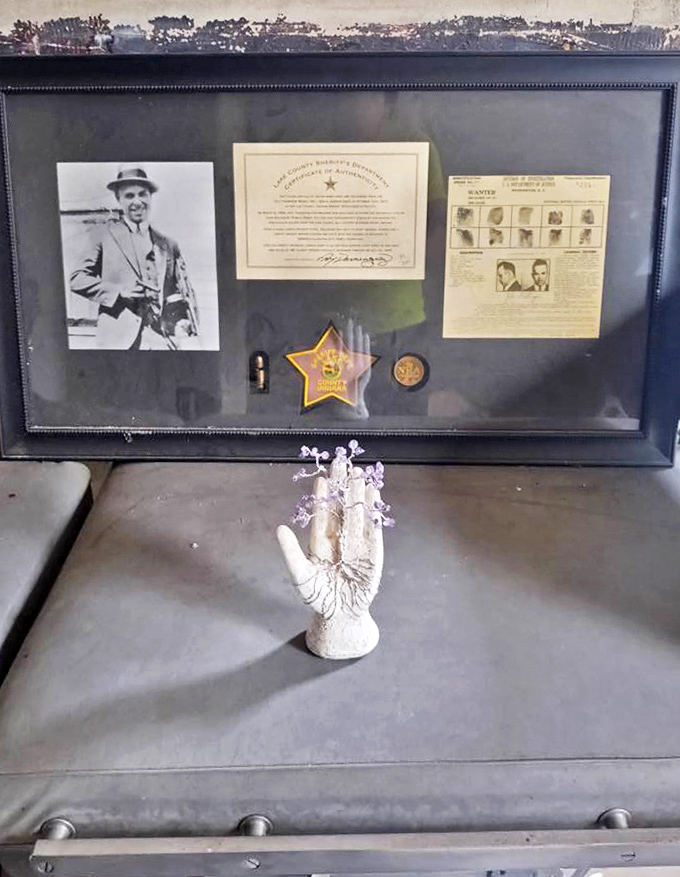A shrine to law enforcement history displays badges, photographs, and memorabilia from an era when gangsters like Dillinger captured America's imagination.