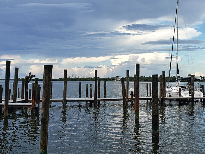 Weather-worn pilings stand like patient sentinels in the harbor, marking time with the tides while boats gently rock in their protective embrace.