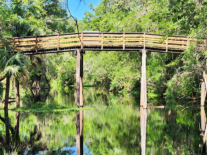 This bridge doesn't just connect two riverbanks, it creates perfect symmetry that would make any geometry teacher weep with joy.
