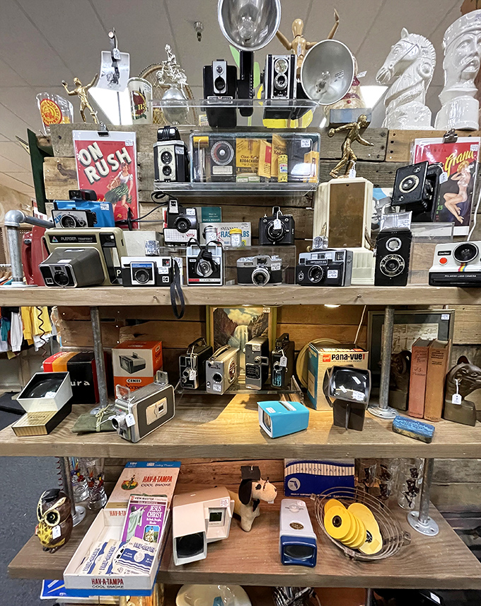 These vintage cameras once captured family memories on actual film, requiring skill and patience rather than just a quick tap on a smartphone.