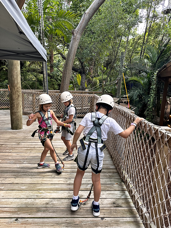 Future daredevils in training! These young adventurers learn that courage comes in small steps&mdash;and proper safety equipment.