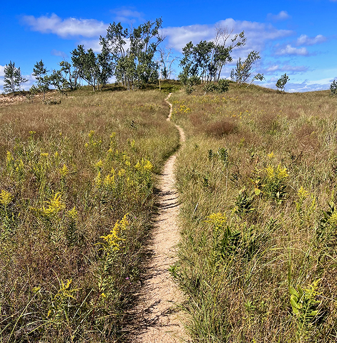 This humble dirt trail promises adventure through meadows of wildflowers and whispering grasses.