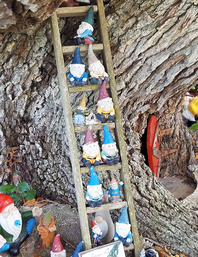 A carefully constructed ladder allows vertical mobility between gnome neighborhoods, showcasing the infrastructure planning that went into this arboreal community.