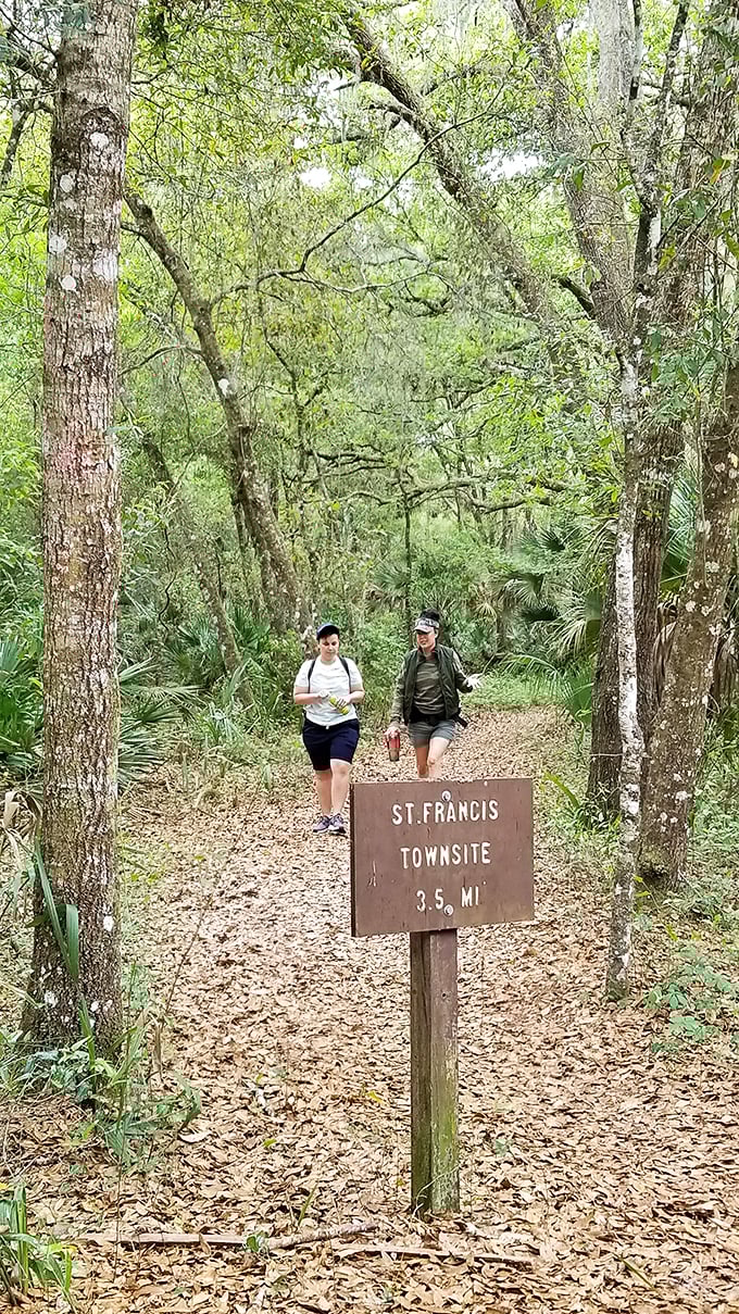 The forest opens to reveal a clearing where St. Francis once thrived, now reclaimed by nature's persistent hand.