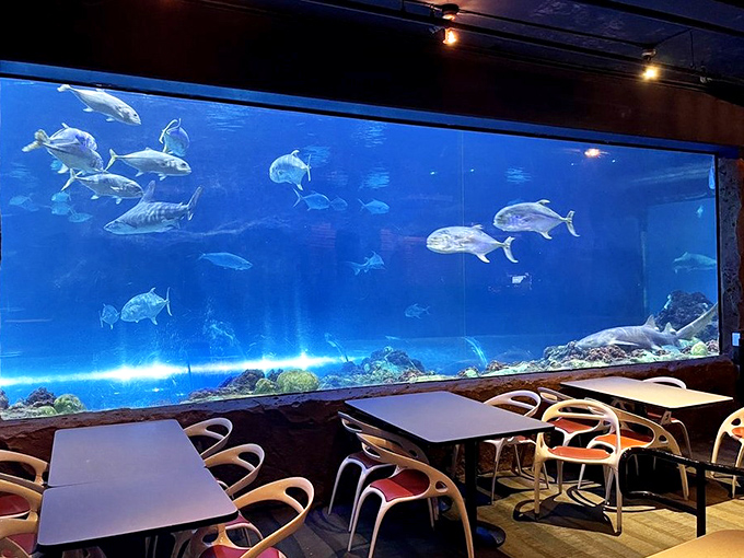 The restaurant's clever design ensures nearly every seat offers prime viewing of marine life, turning "dinner with a view" into a serious understatement.