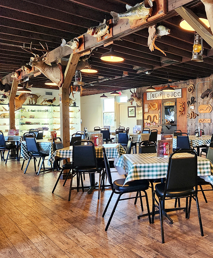 Mounted fish and wildlife specimens keep watchful eyes over diners, creating the feeling of eating inside a natural history museum with excellent food.