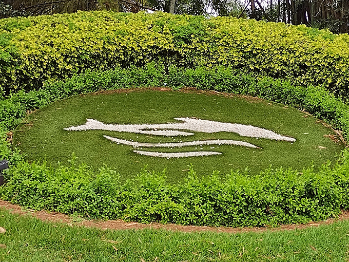 A dolphin silhouette crafted in white stones creates an artistic focal point, surrounded by a perfectly manicured green garden canvas.
