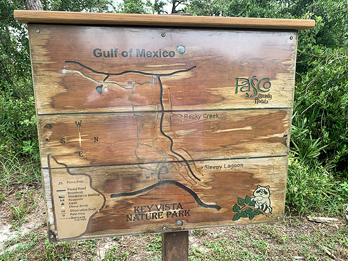 This wooden map reveals the park's secrets &ndash; from Rocky Creek to Sleepy Lagoon, with trails connecting these natural wonders like a treasure map to Florida's past.