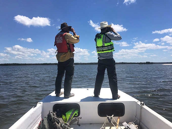 Scientists scan the horizon, documenting and protecting this fragile paradise where conservation efforts ensure future generations can experience untamed Florida.