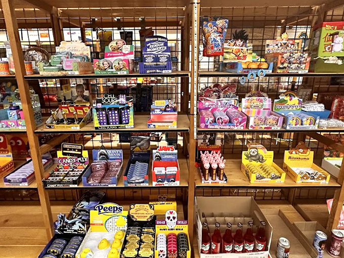 Memory Mints and novelty candies that make perfect gifts for anyone with a sense of humor and a sweet tooth.