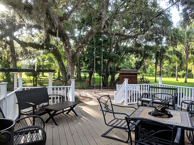 Morning coffee tastes better at treetop level, especially when served with a side of birdsong and dappled sunlight filtering through ancient oaks.