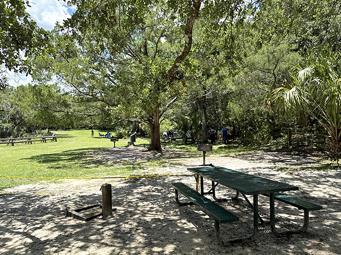 Picnic tables wait under shade trees, perfect spots for sandwiches that somehow taste better when eaten beside crystal springs.