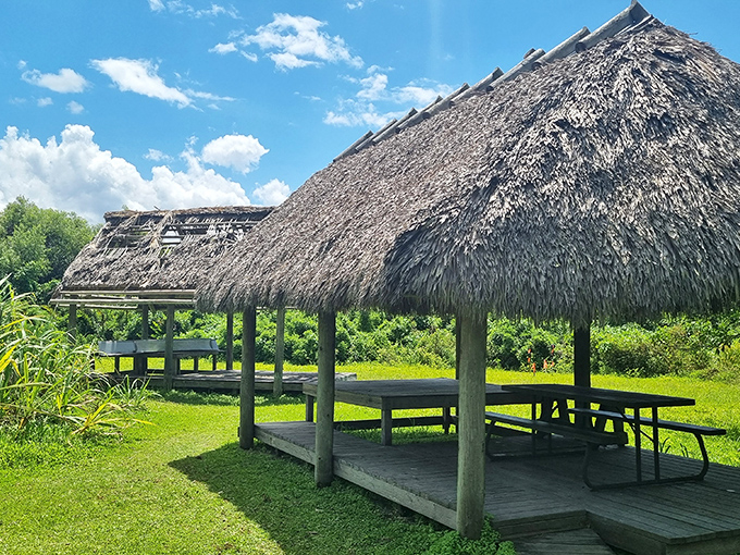 A picnic shelter that looks like it was designed by Robinson Crusoe's more sophisticated cousin, rustic luxury in the wilderness.