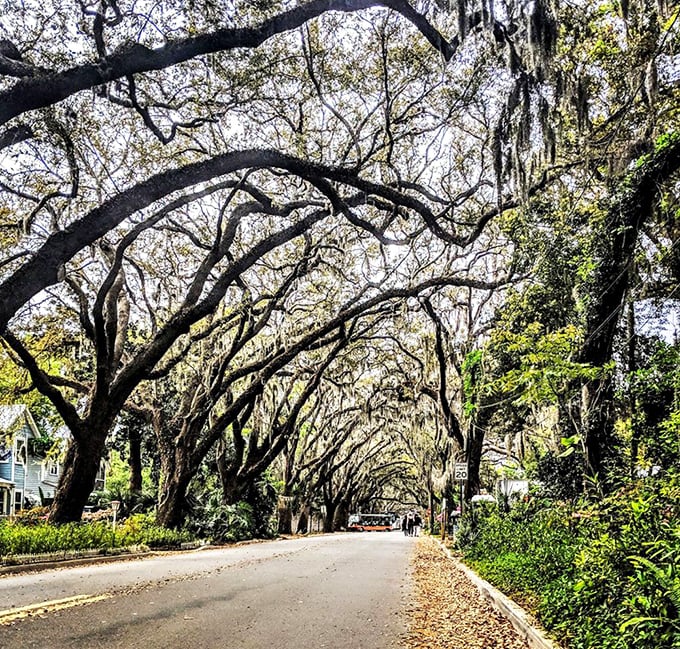 The ultimate picture spot where amateur photographers become artists &ndash; just point your camera anywhere along this stretch and you've captured something frame-worthy.